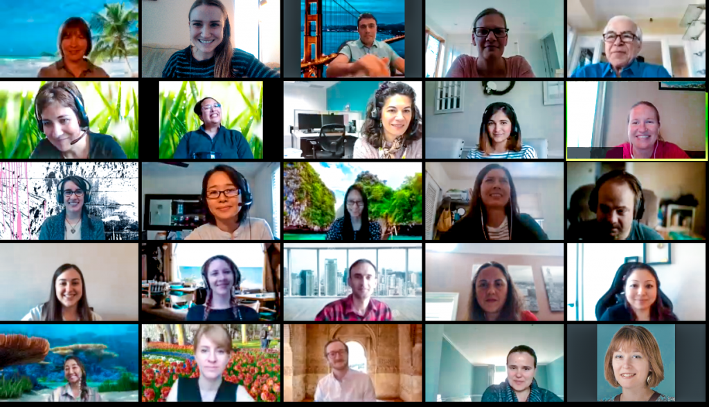 DLS Transition to Distance Learning - Diplomatic Language Services