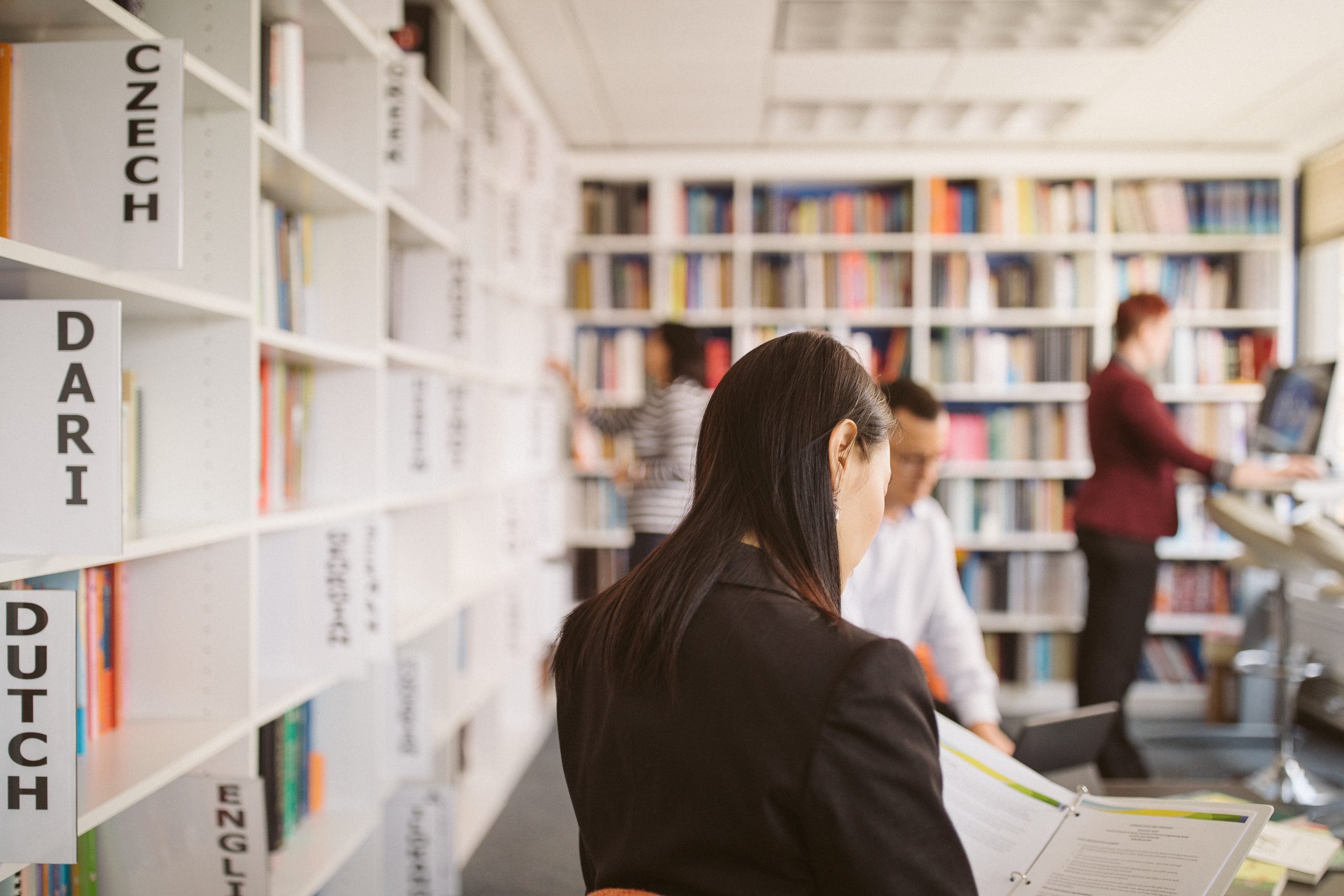 DLS Online Launch - Diplomatic Language Services